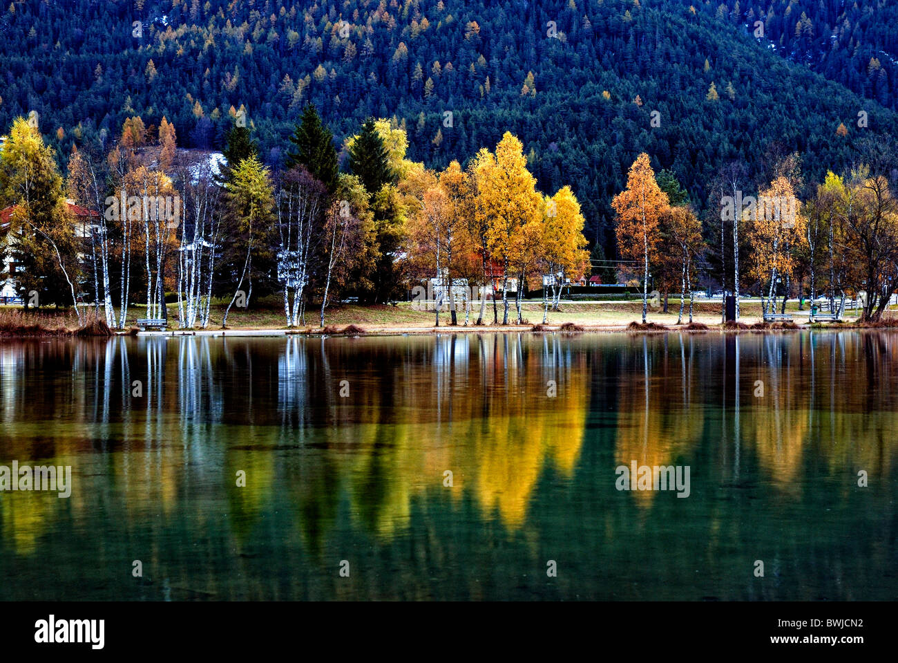 wildsee lake early morning seefeld tirol austria Stock Photo - Alamy