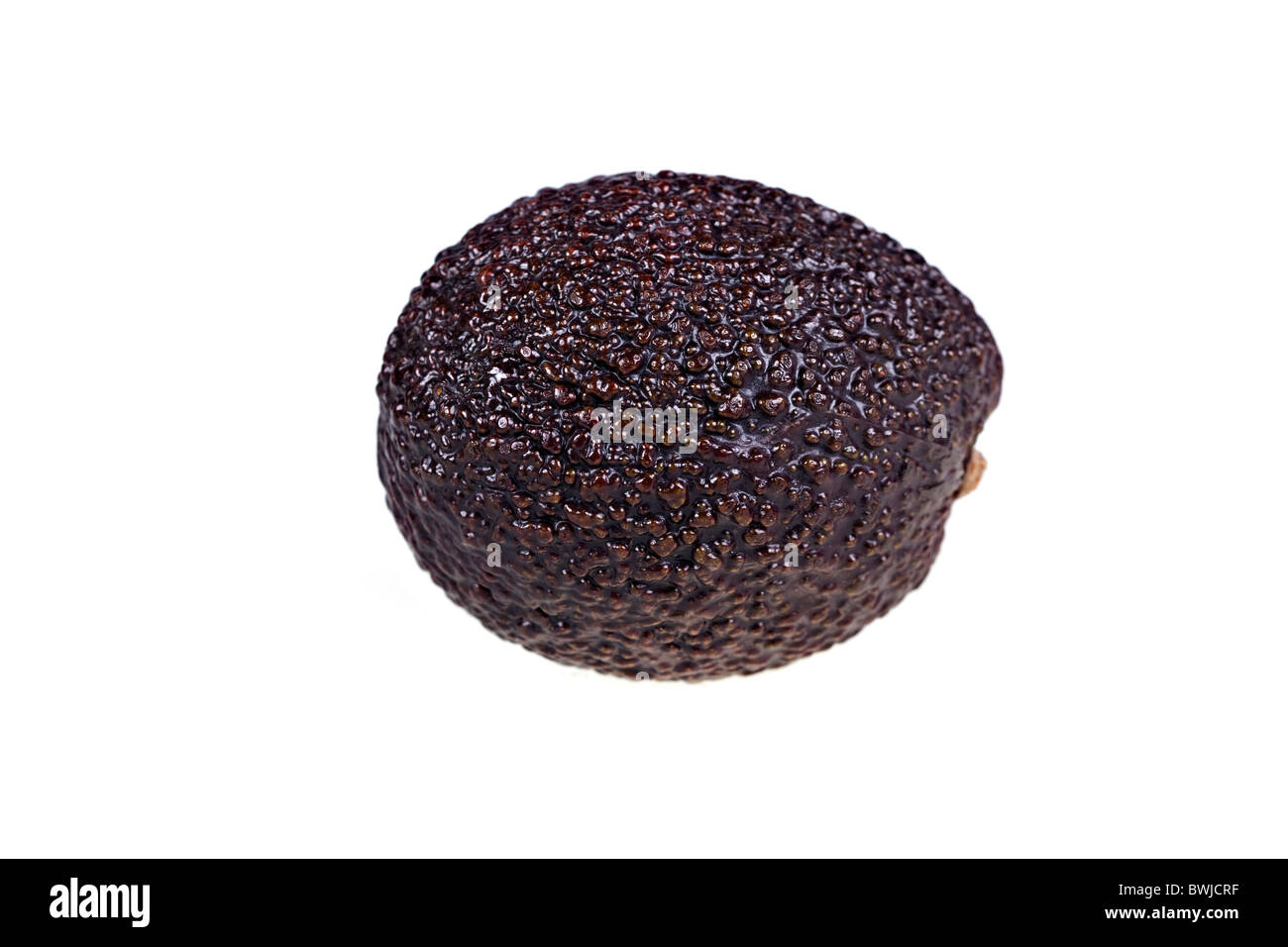 Avocado aguacate black white hi-res stock photography and images - Alamy