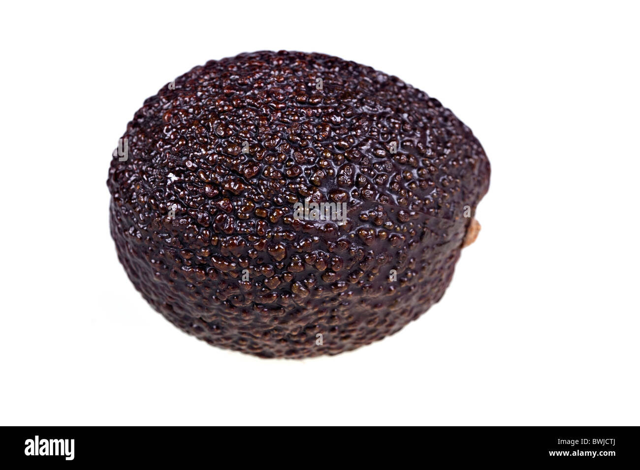 Avocado aguacate black white hi-res stock photography and images - Alamy