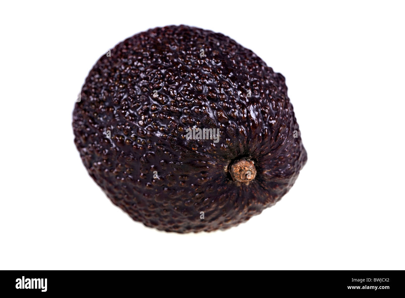 Avocado aguacate black white hi-res stock photography and images - Alamy