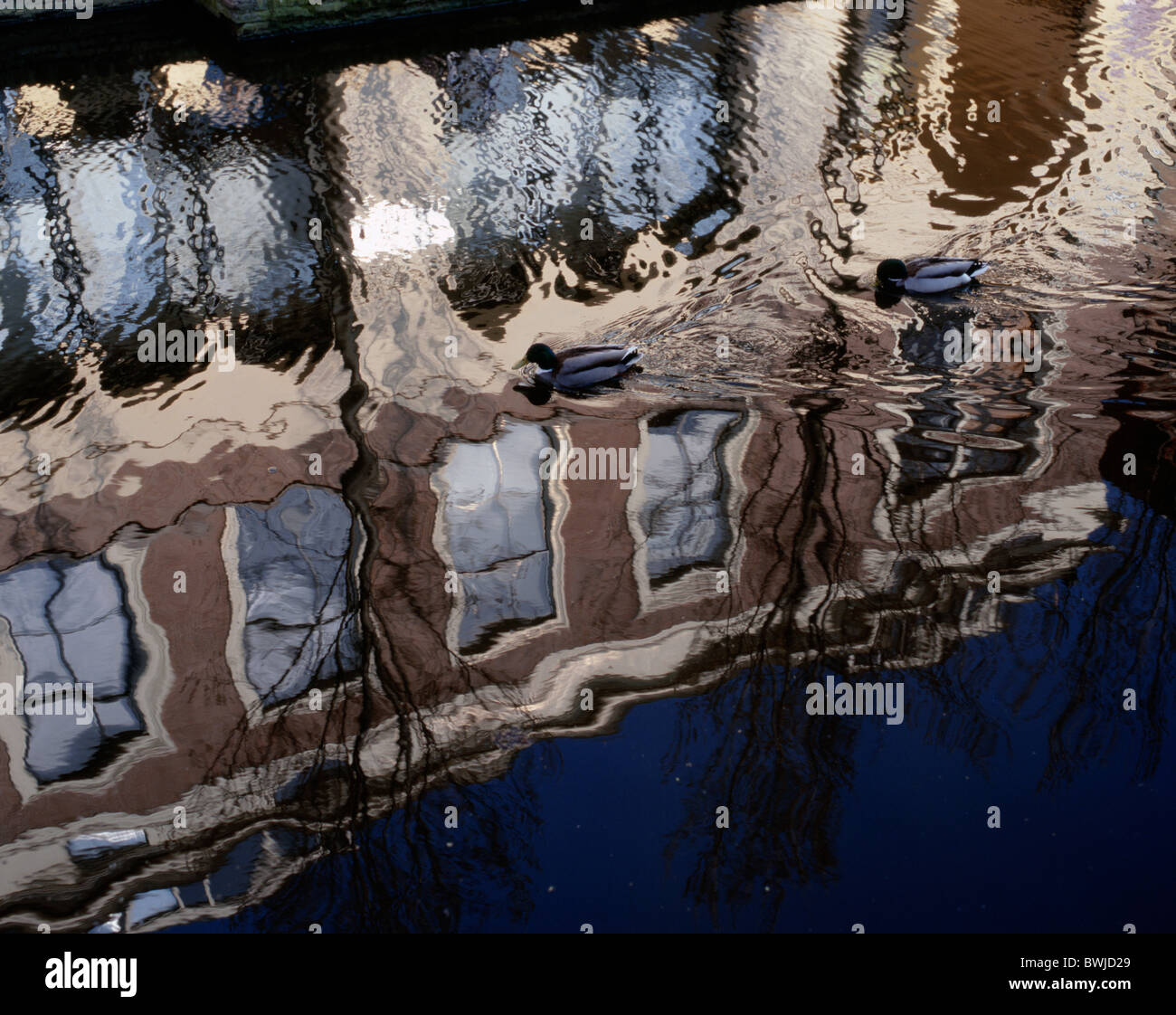 [Pentax 67 II] [medium format slide film] Stock Photo - Alamy