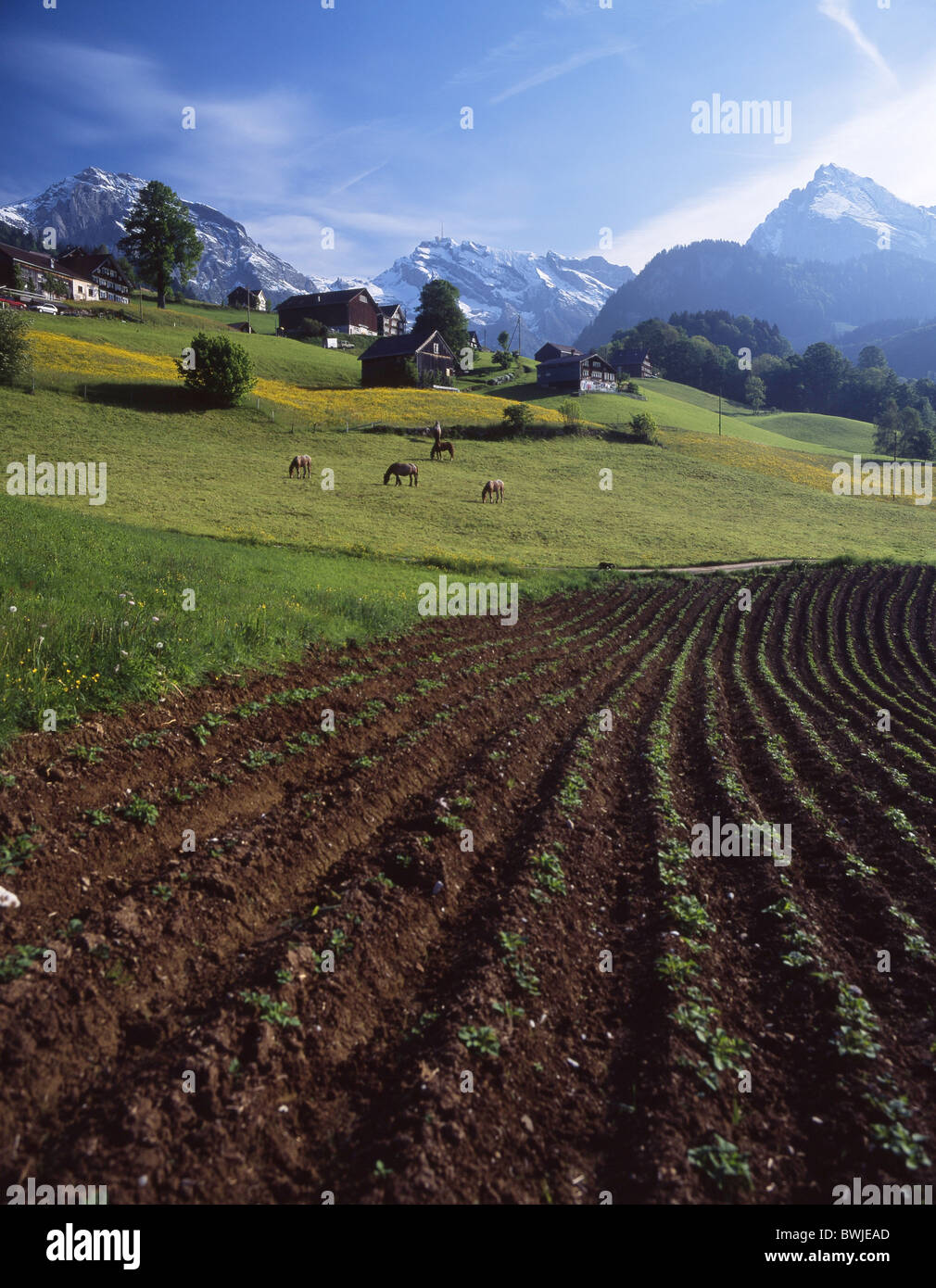 10820992 hi-res stock photography and images - Alamy