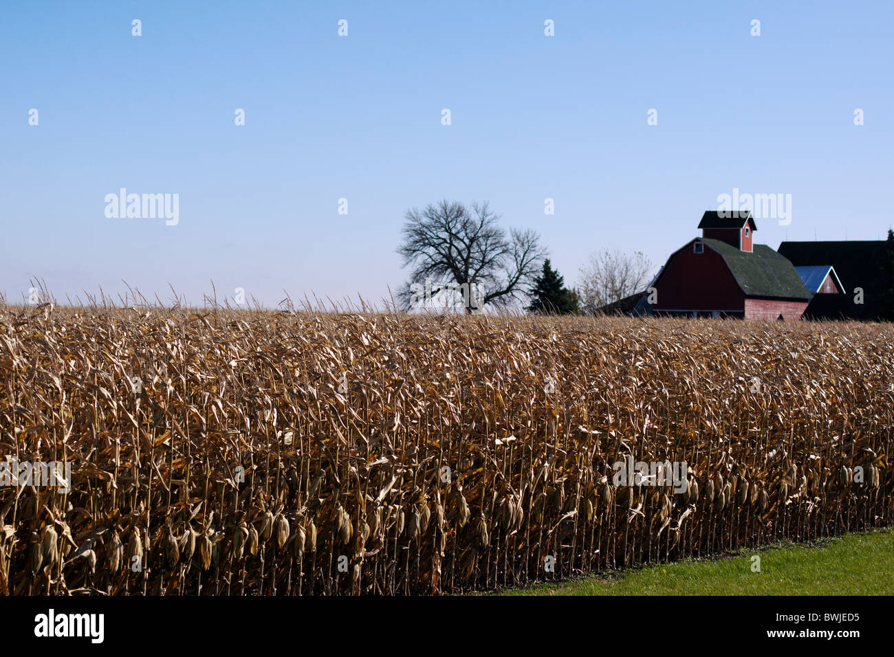 A fall farm scene in rural Illinois Stock Photo - Alamy