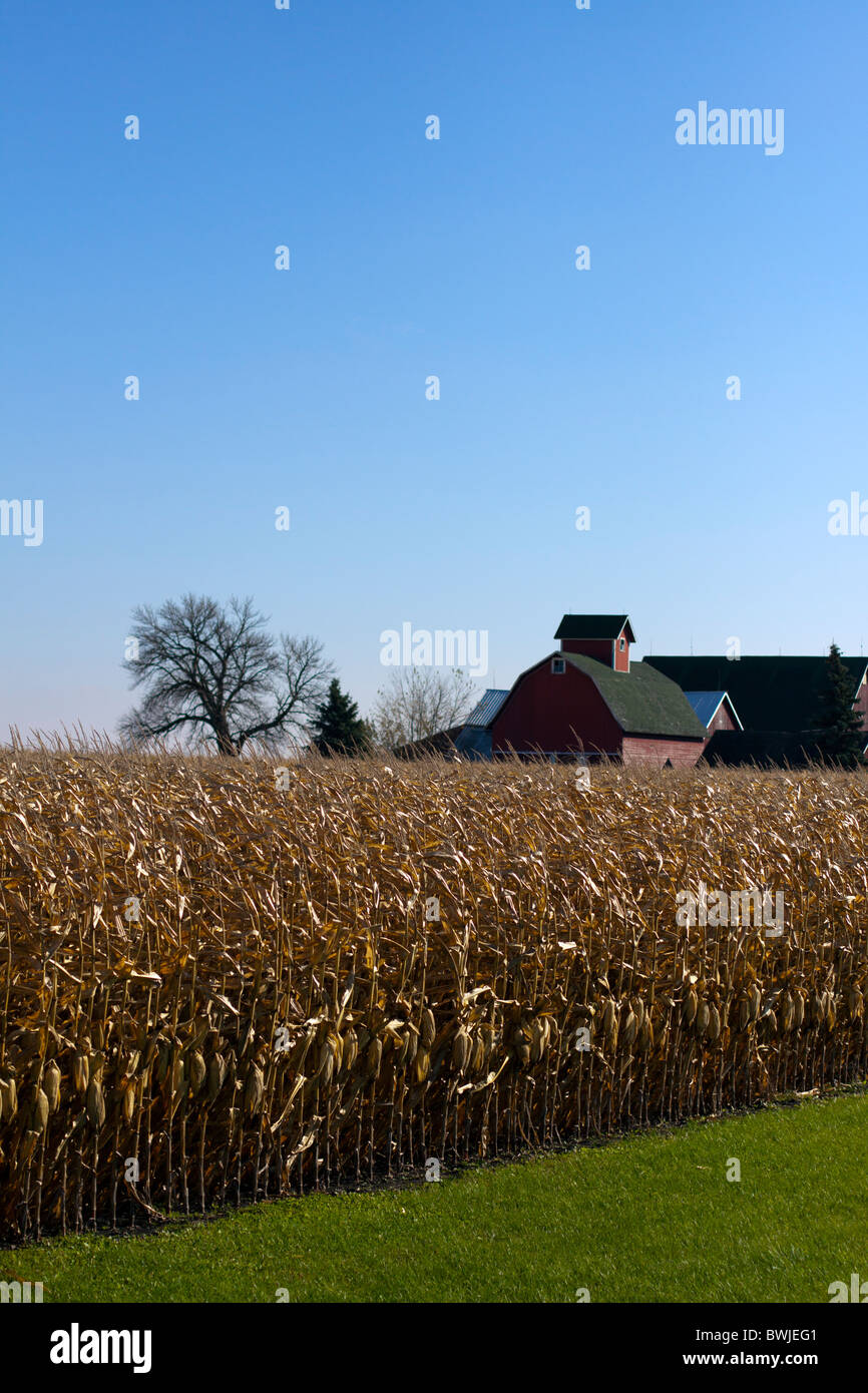 Midwest farm harvest hi-res stock photography and images - Alamy