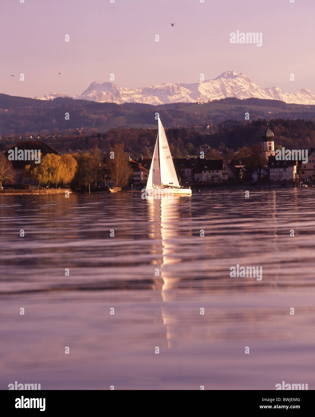 sailing sail boat sailing ship Boat lake Lake of Constance Santis dusk ...