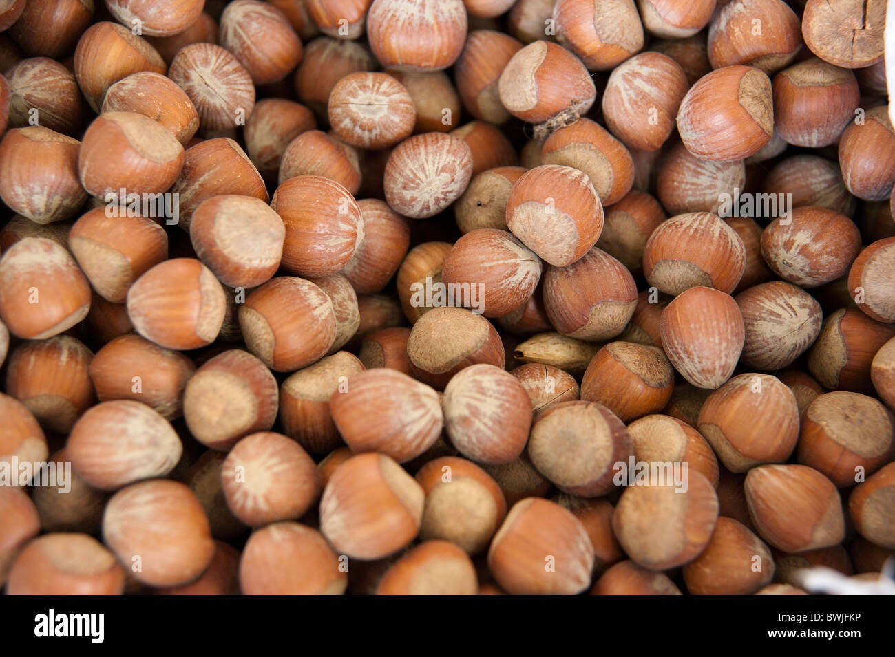 A pile of freshly roasted unshelled hazelnuts Stock Photo - Alamy