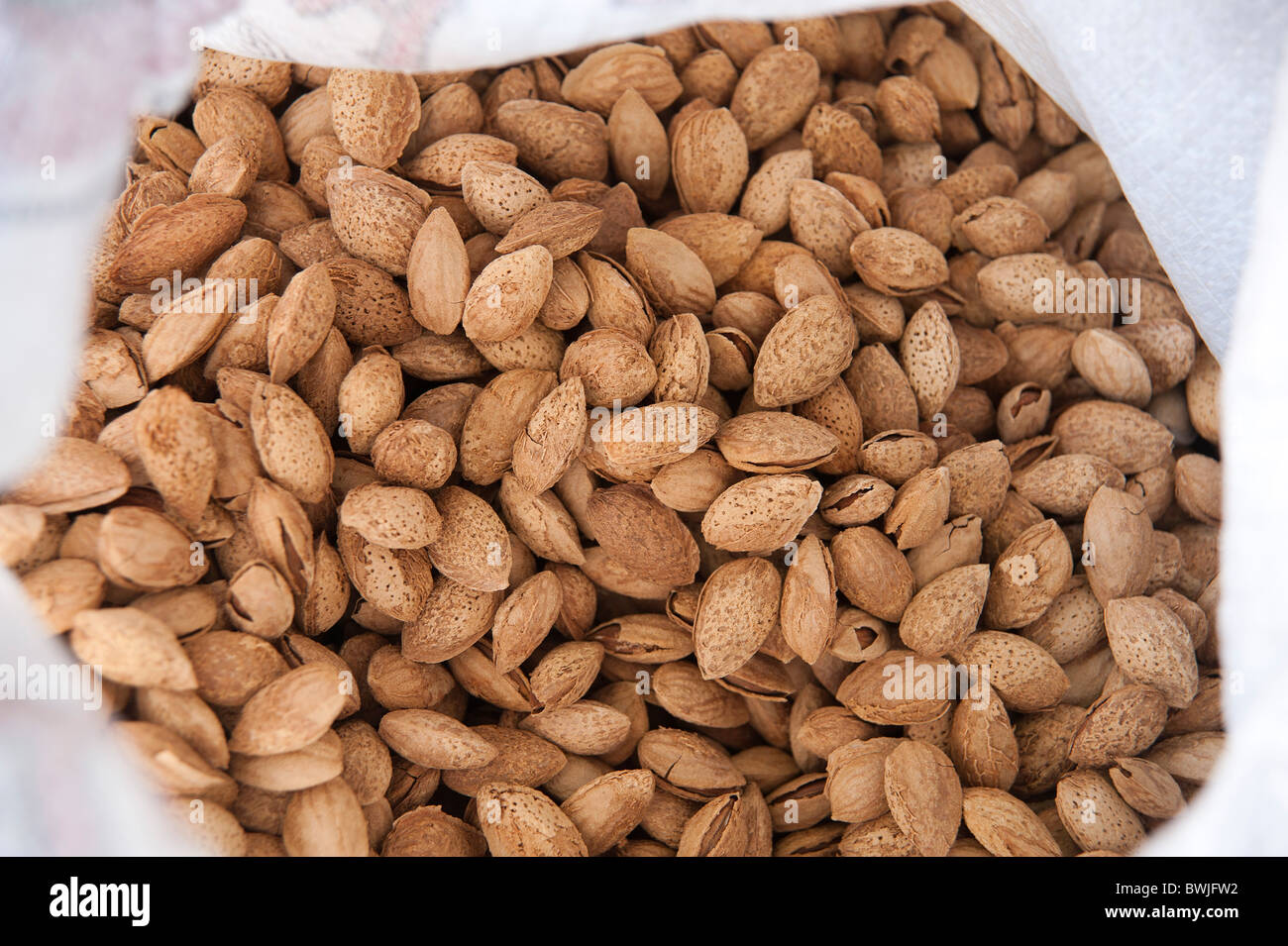 A pile of freshly roasted unshelled almonds Stock Photo - Alamy
