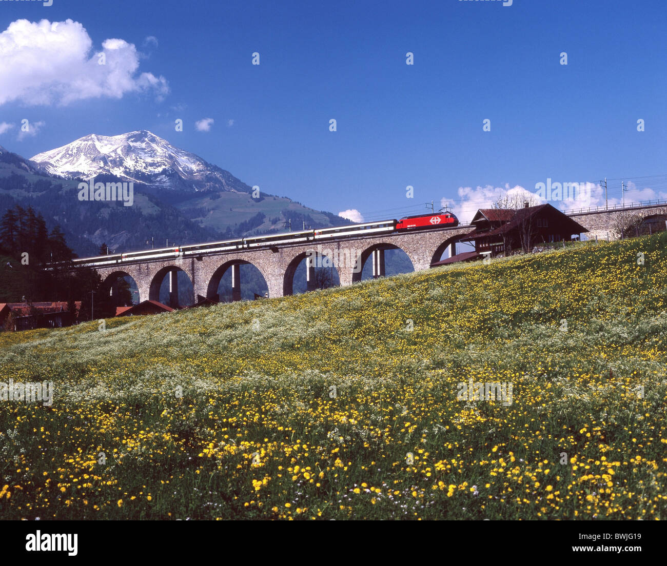 railway viaduct bridge viaduct SBB mountains Alps Lotschberg railroad ...