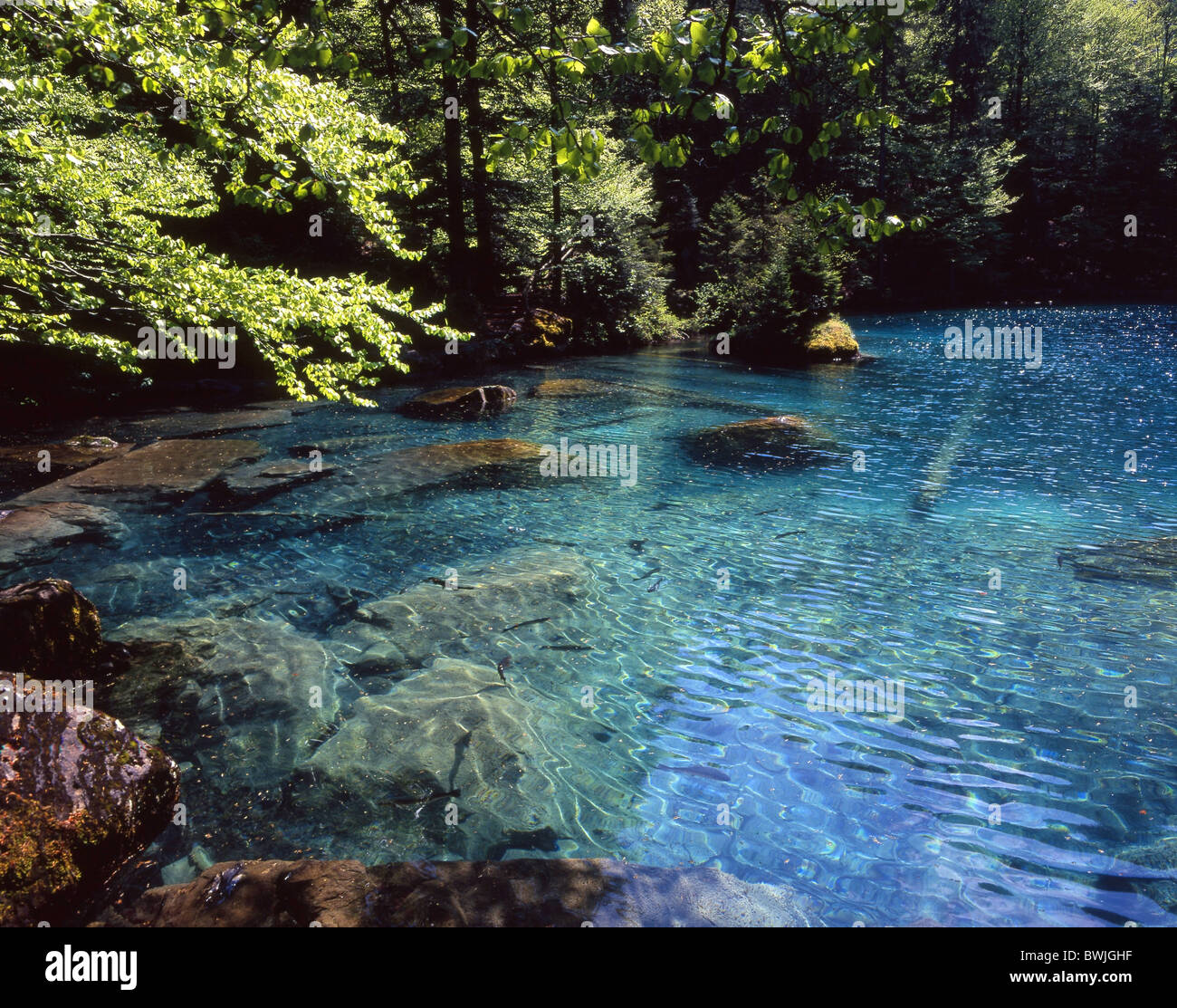Blausee Bern High Resolution Stock Photography and Images - Alamy
