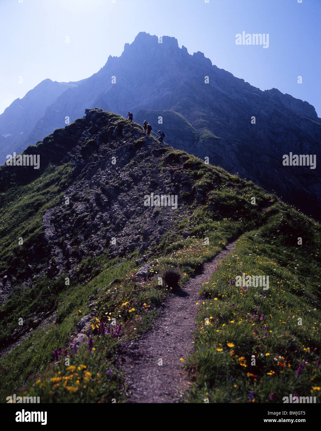 hiking hiker group path footpath burr mountains Alps spare time ...