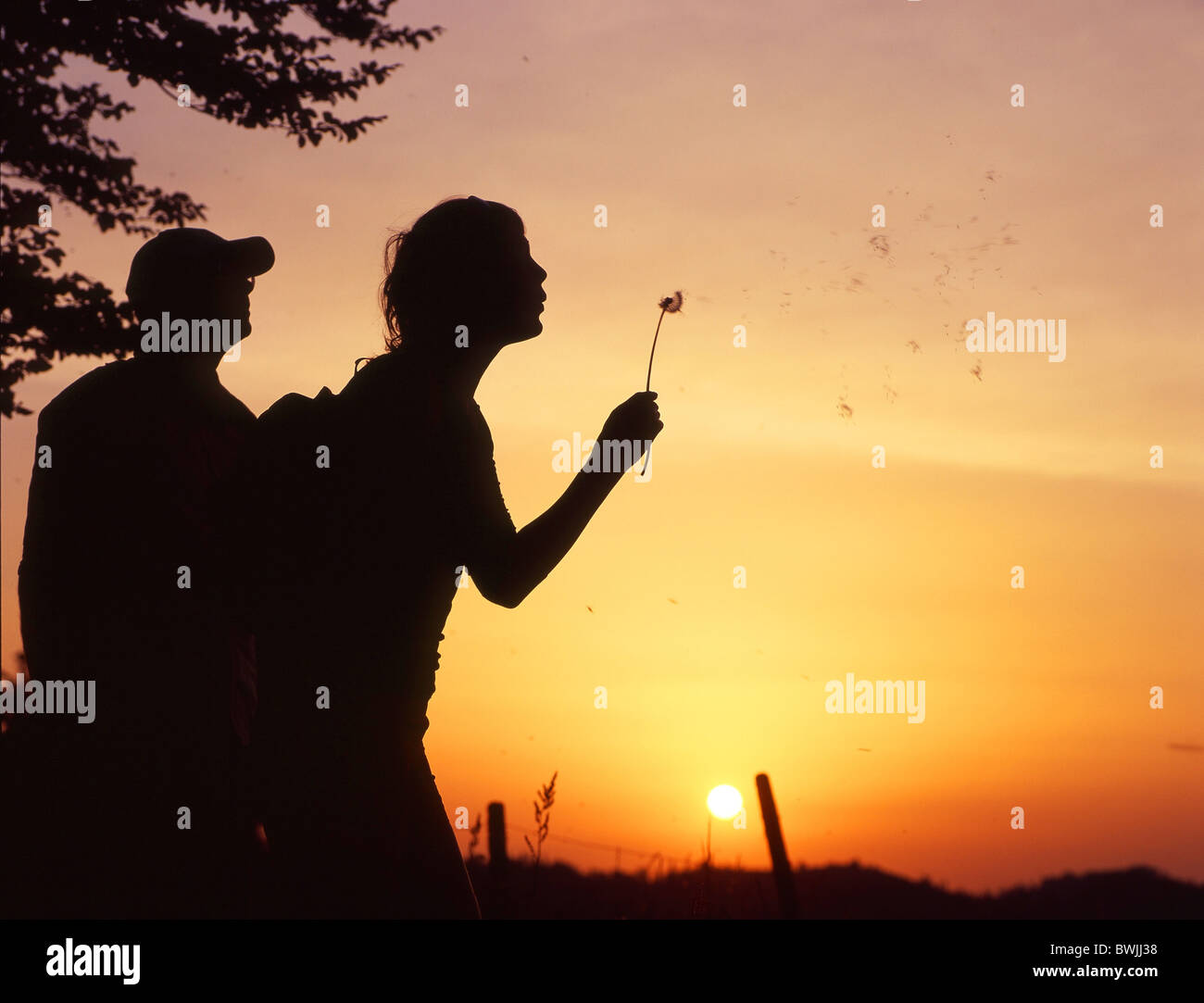 travelers Emmental hiking couple puff flower dandelion blowing ...