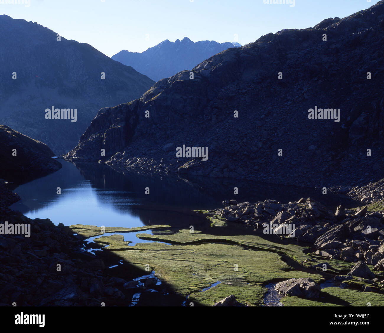 Tomasee hi-res stock photography and images - Alamy