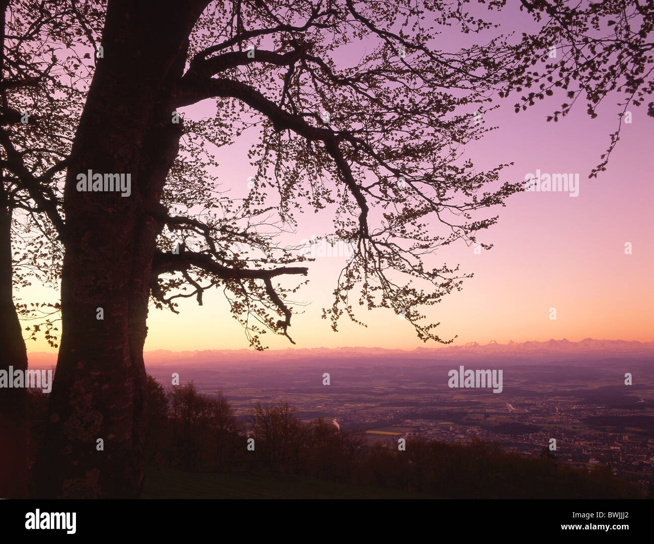 Weissenstein solothurn hi-res stock photography and images - Alamy