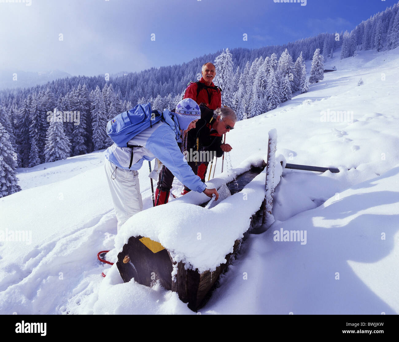 winter group seniors wells rest drinking sports spare time wood forest ...