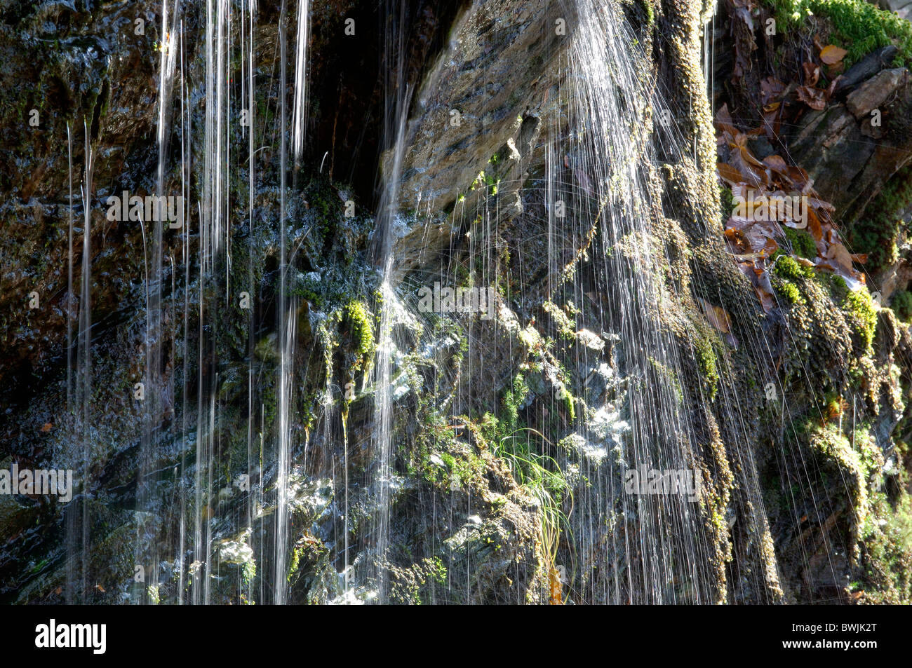 10826093 hi-res stock photography and images - Alamy