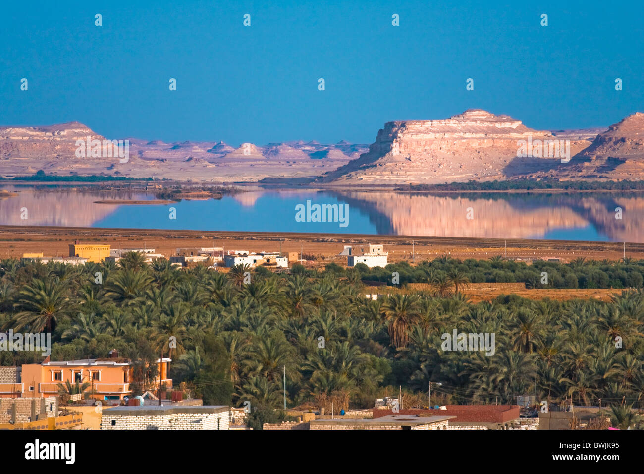 Landscape around Siwa town, Siwa Oasis, Egypt Stock Photo - Alamy