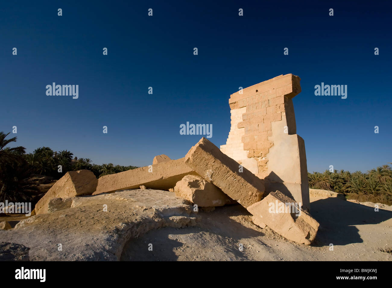 Umm ubayda hi-res stock photography and images - Alamy