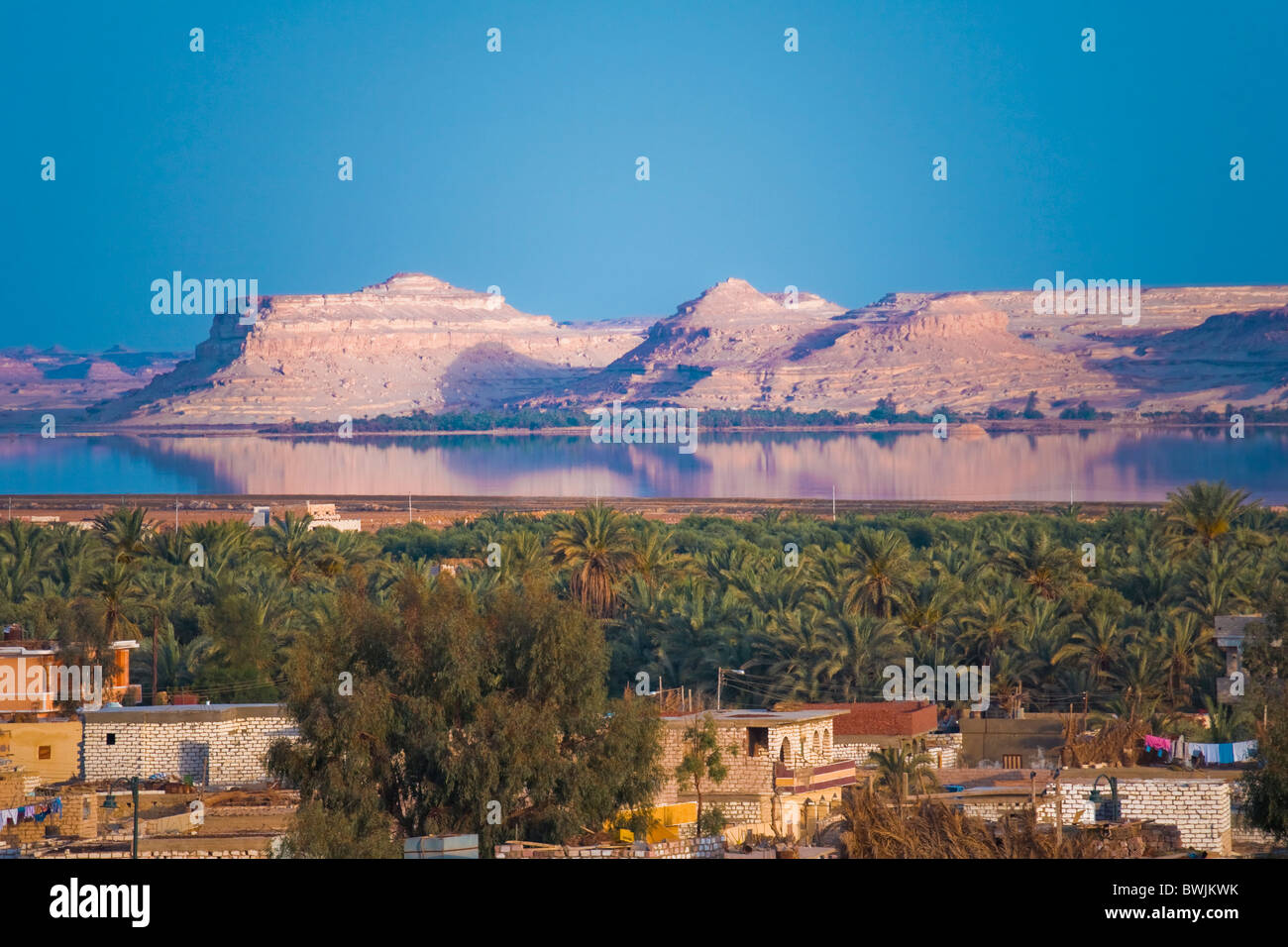 Landscape around Siwa town, Siwa Oasis, Egypt Stock Photo - Alamy