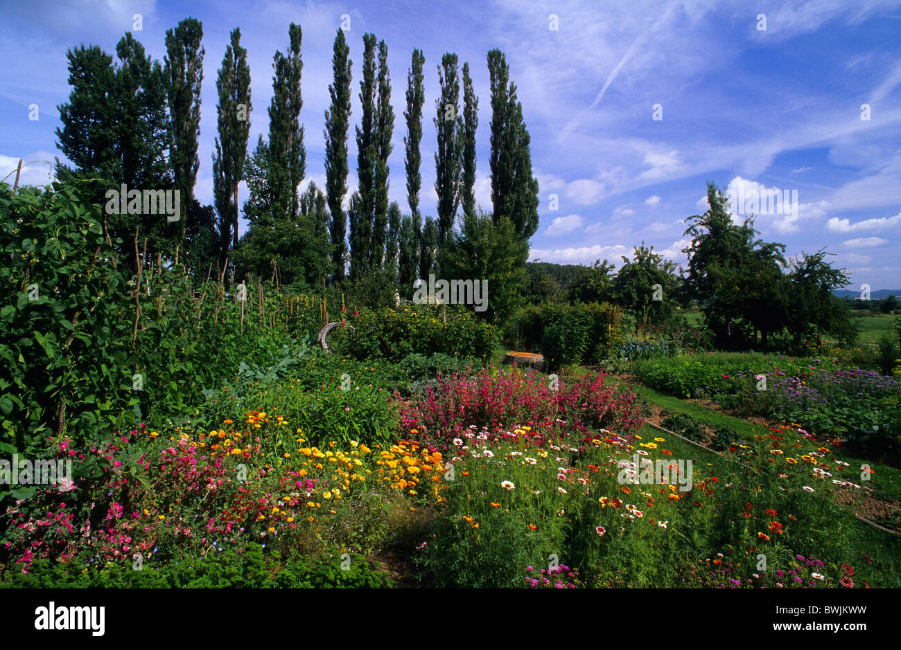 Allotment germany hi-res stock photography and images - Alamy
