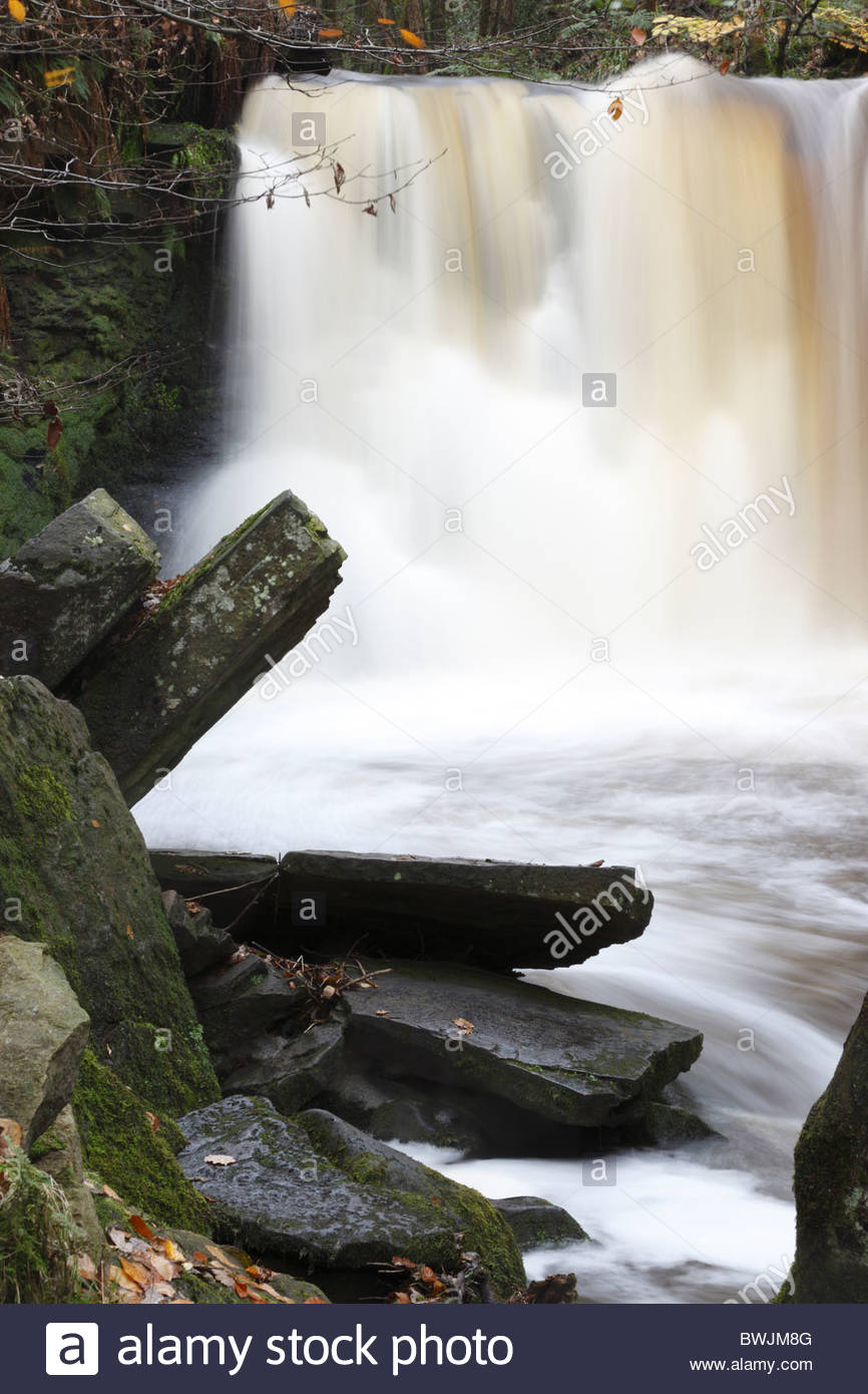 Goitstock Wood High Resolution Stock Photography and Images - Alamy