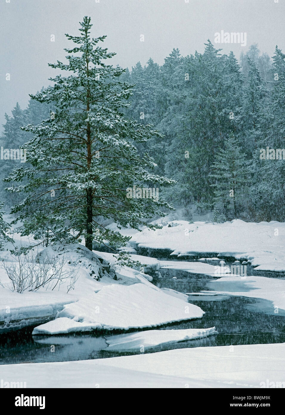 Snowfall over the Katun River. The Altai Mountains, Siberia, Russia ...