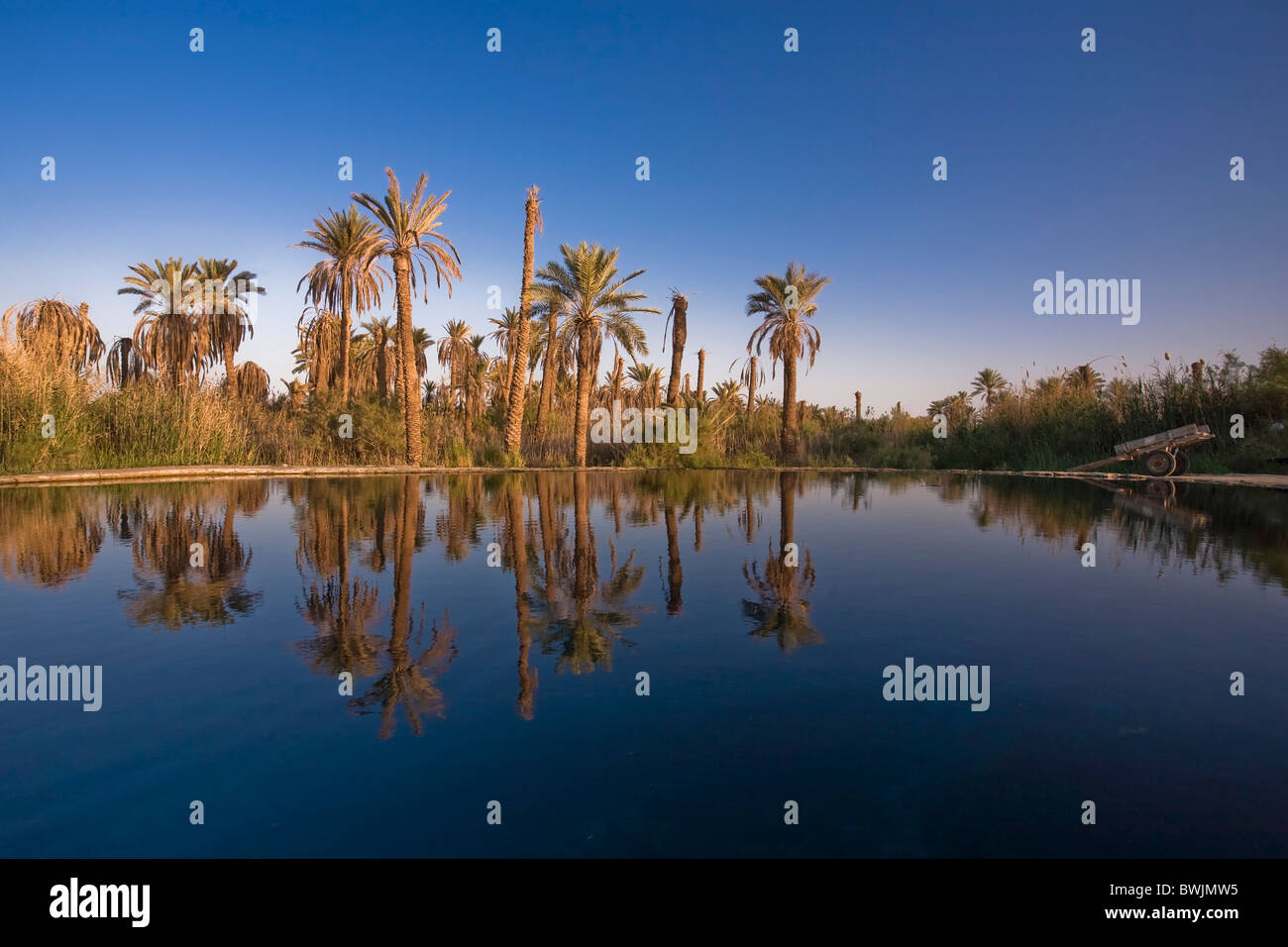Abou Shrouf Spring, Siwa Oasis, Egypt Stock Photo - Alamy