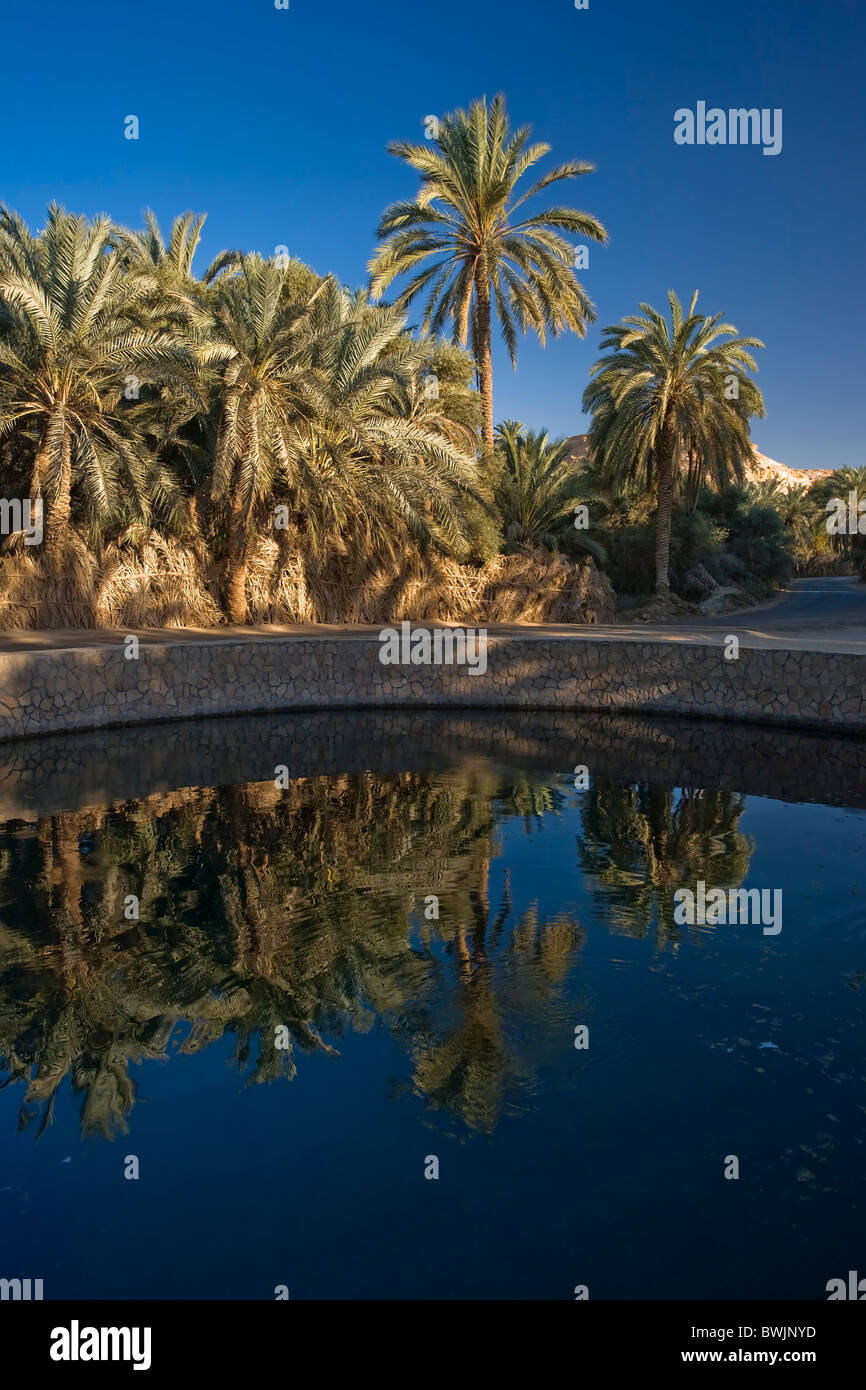 Cleopatra's Bath Natural Hot Spring, Siwa Oasis, Egypt Stock Photo - Alamy