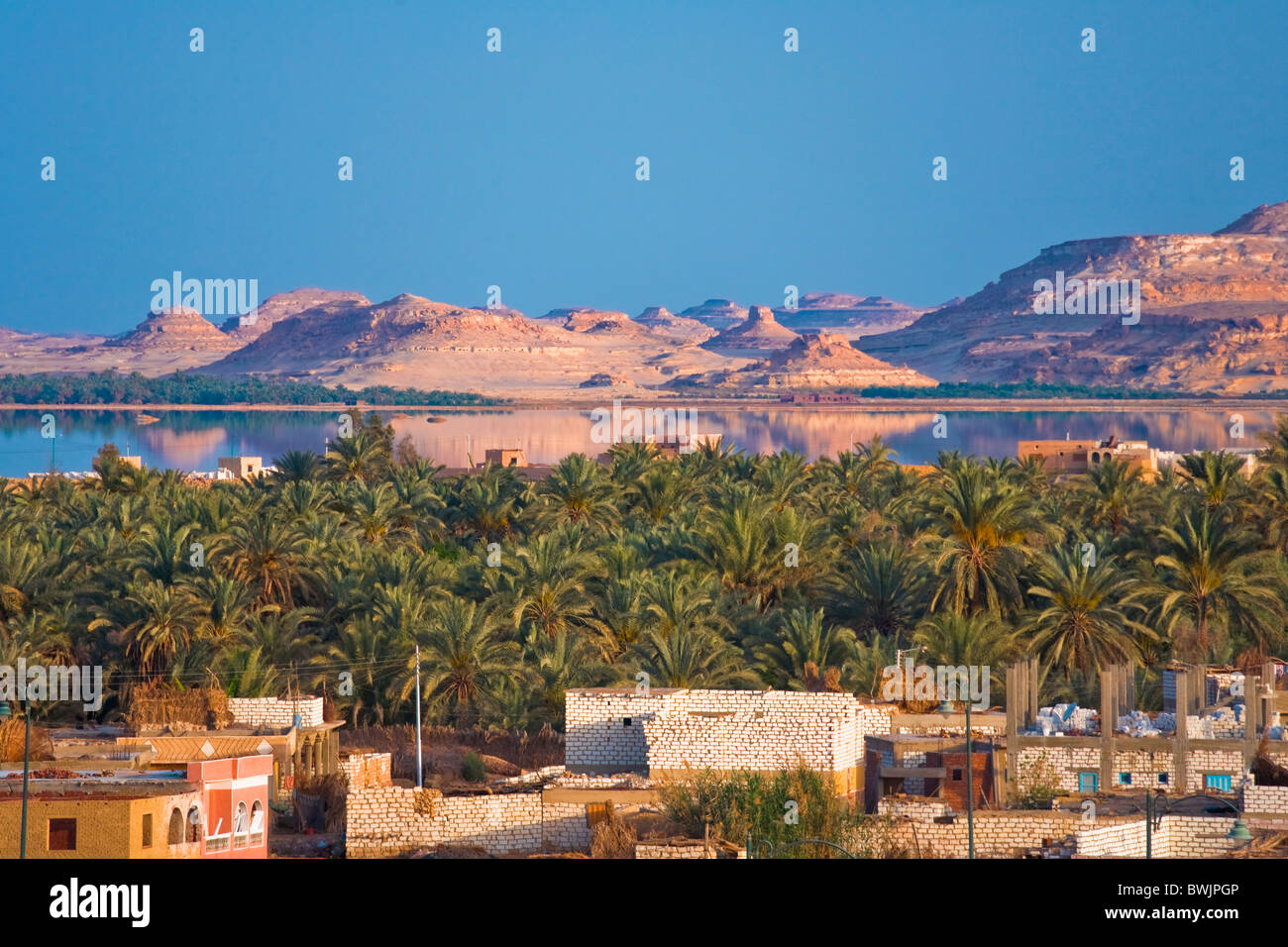 Landscape around Siwa town, Siwa Oasis, Egypt Stock Photo - Alamy