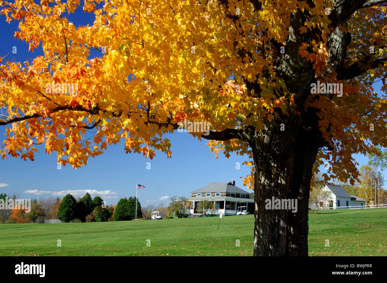 Indian construction site hi-res stock photography and images - Alamy
