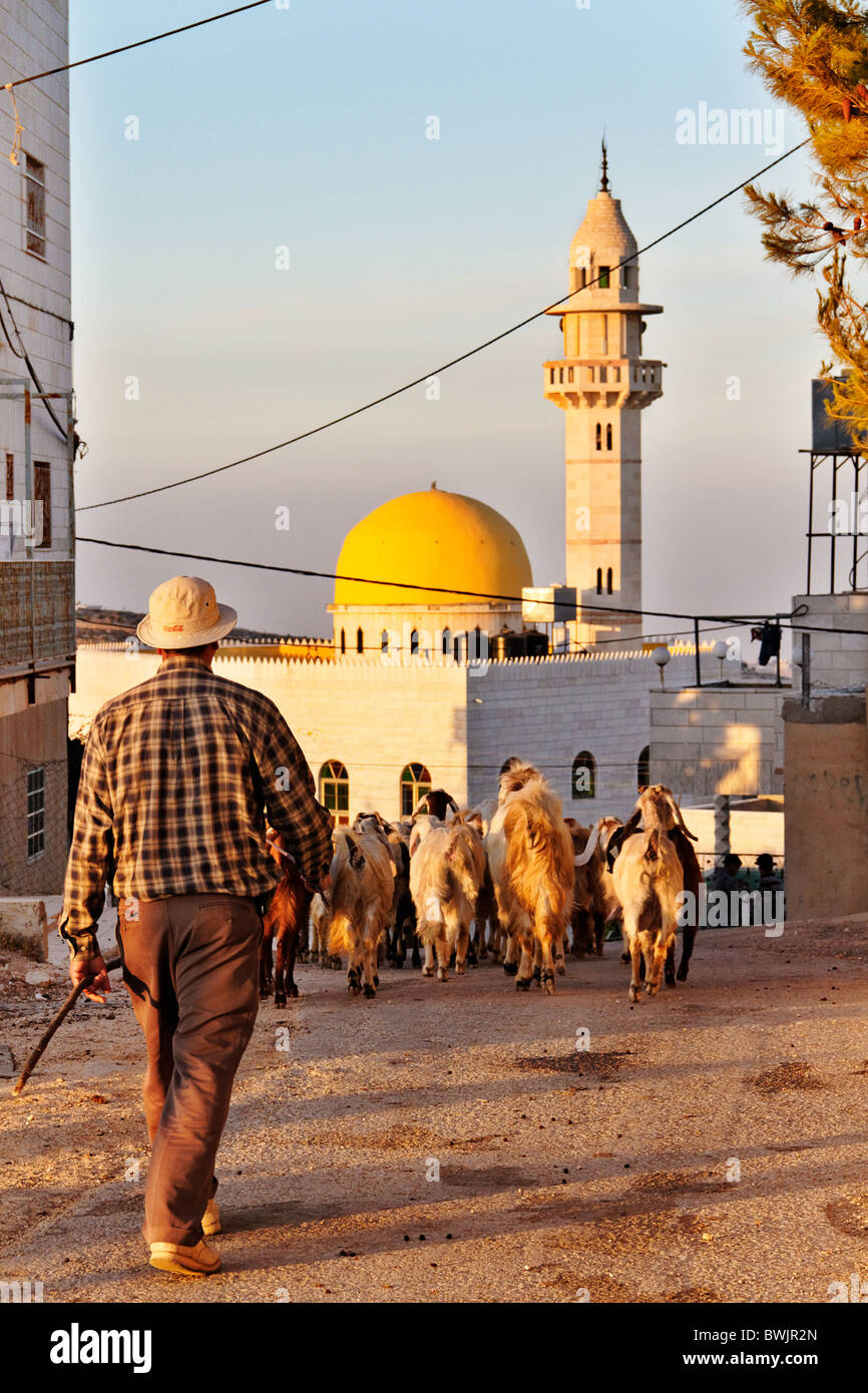 Goat shepherds hi-res stock photography and images - Alamy