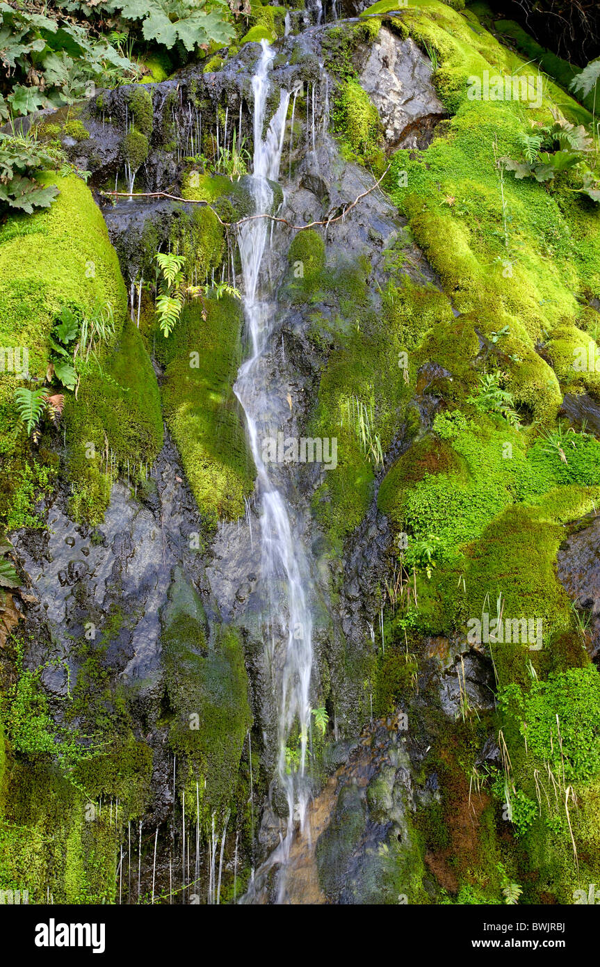 moss water waterfall rivlet cliff rock cliff nature Ventisquero Chico ...