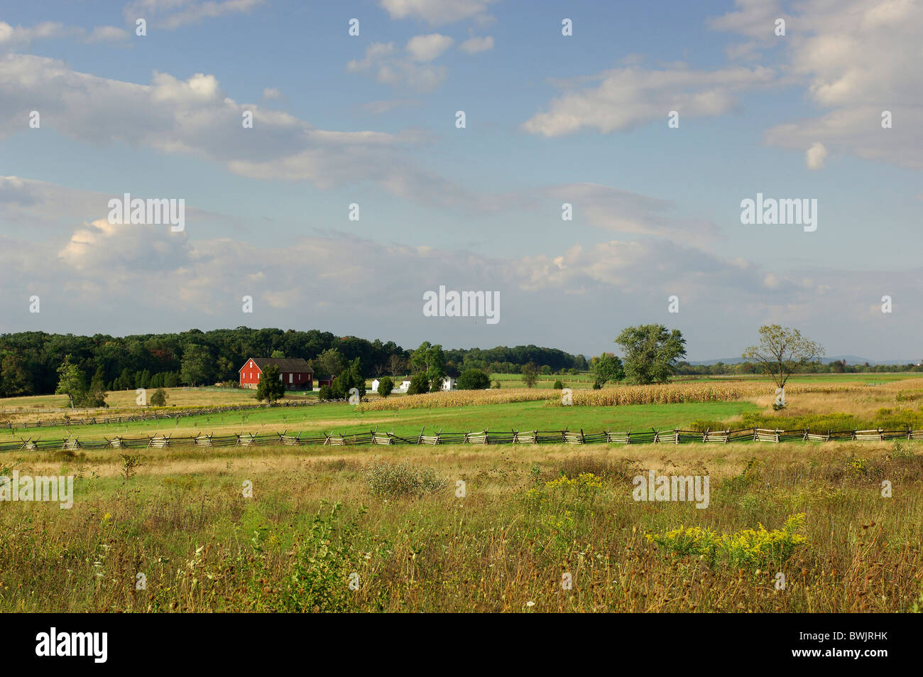 10826244 hi-res stock photography and images - Alamy