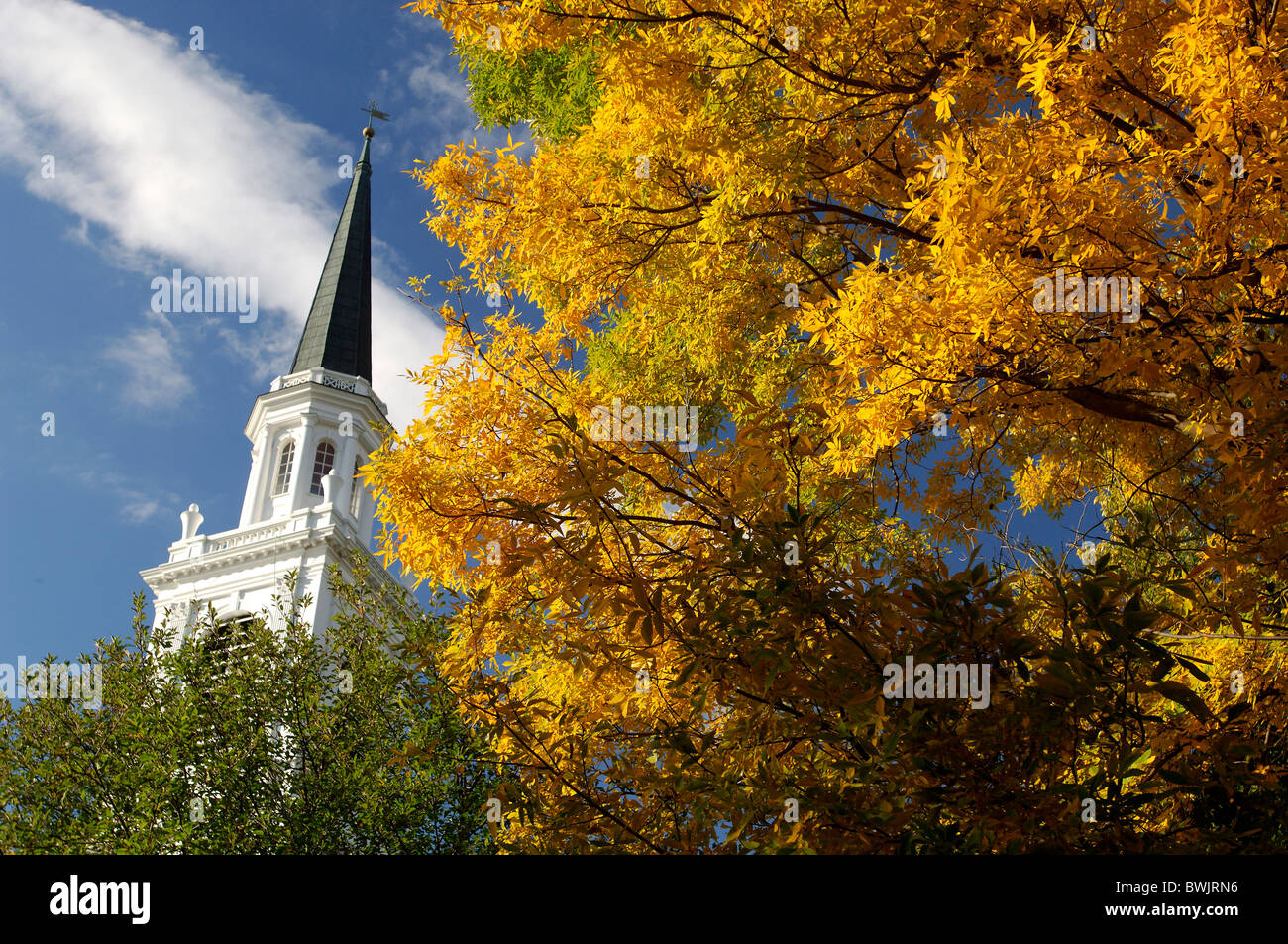 Indian Campus High Resolution Stock Photography and Images - Alamy