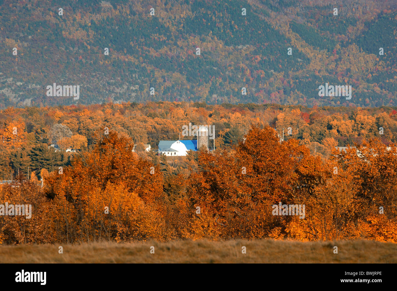 Middlebury and vermont hi-res stock photography and images - Alamy