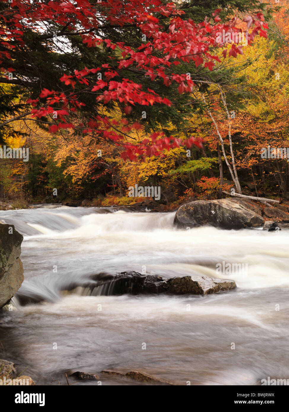 Beautiful fall nature scenery of Oxtongue river rapids. Algonquin ...