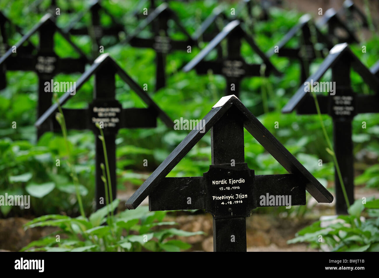 First World War One graves at the German WWI military cemetery Nasswand ...