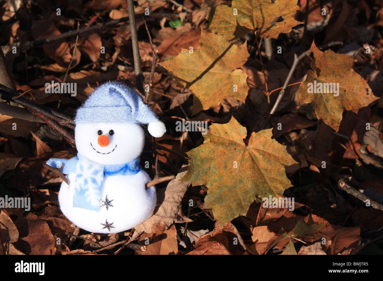 Snowman in the Forest Stock Photo - Alamy