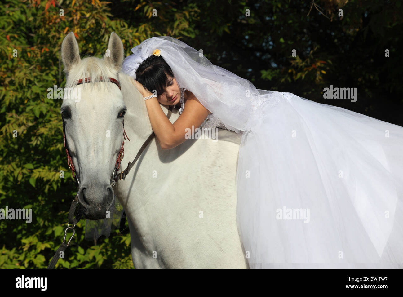 The sleeping bride and horse Stock Photo - Alamy
