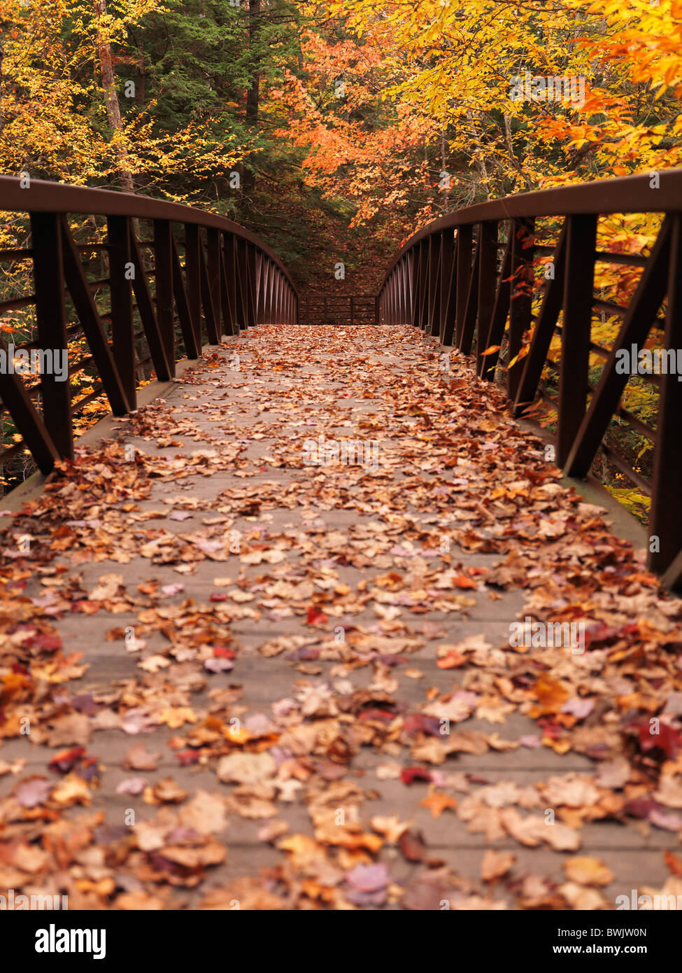 Fallen bridge hi-res stock photography and images - Alamy