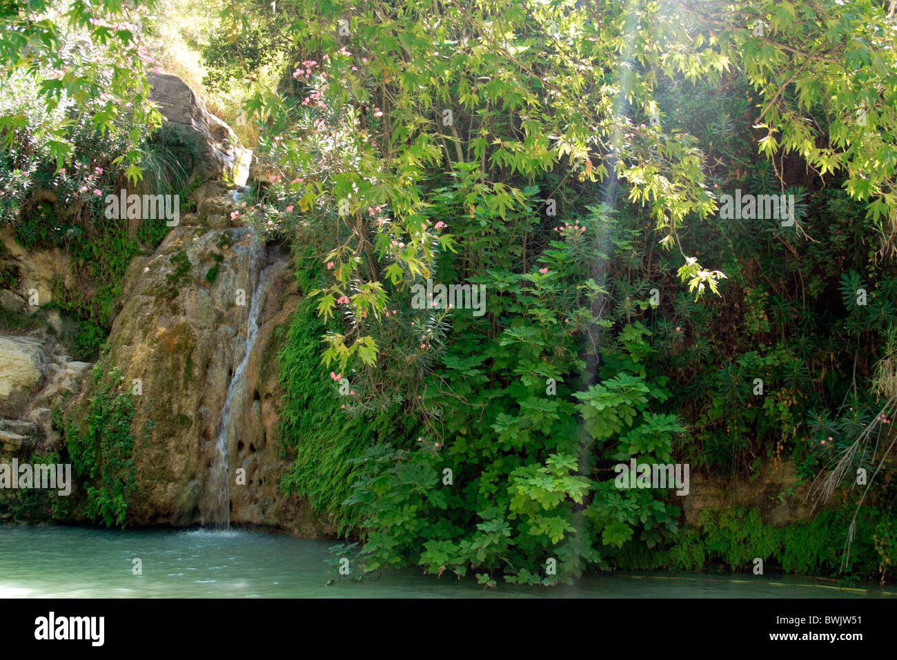 Adonis baths hi-res stock photography and images - Alamy