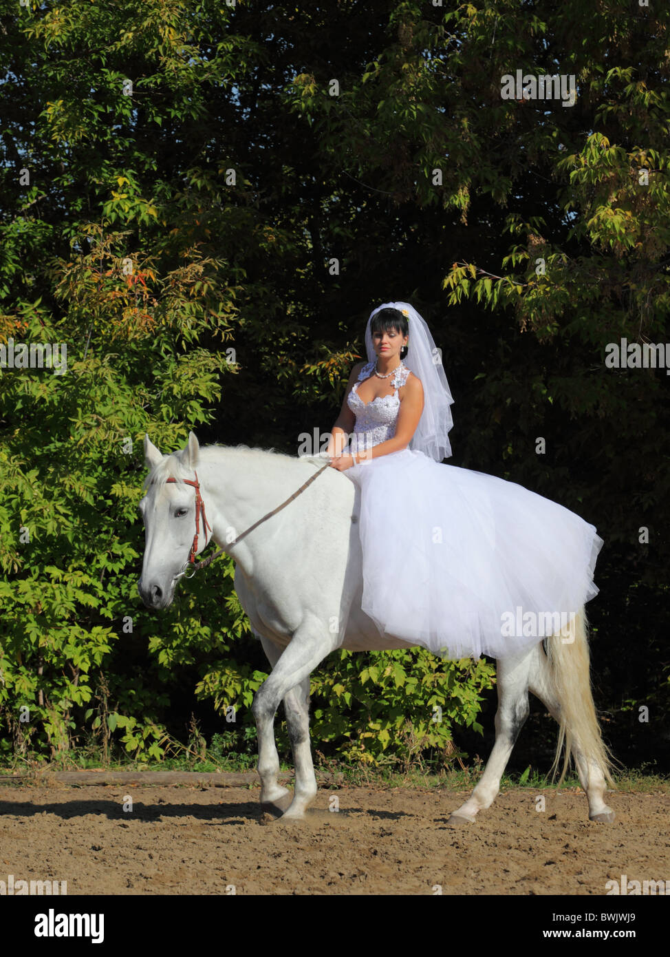 Bride and horse Stock Photo - Alamy