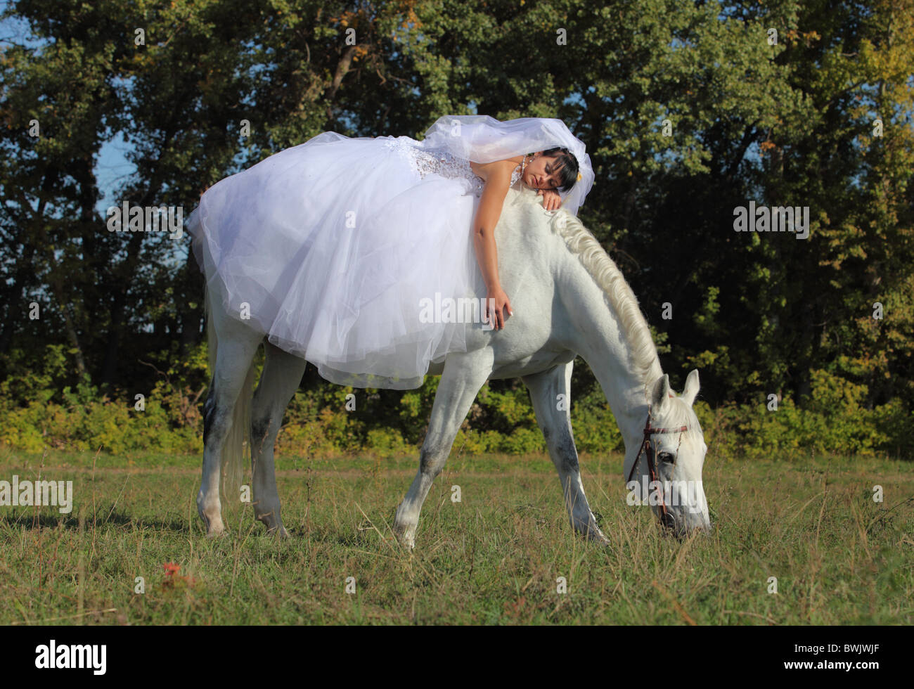 The sleeping bride and horse Stock Photo - Alamy