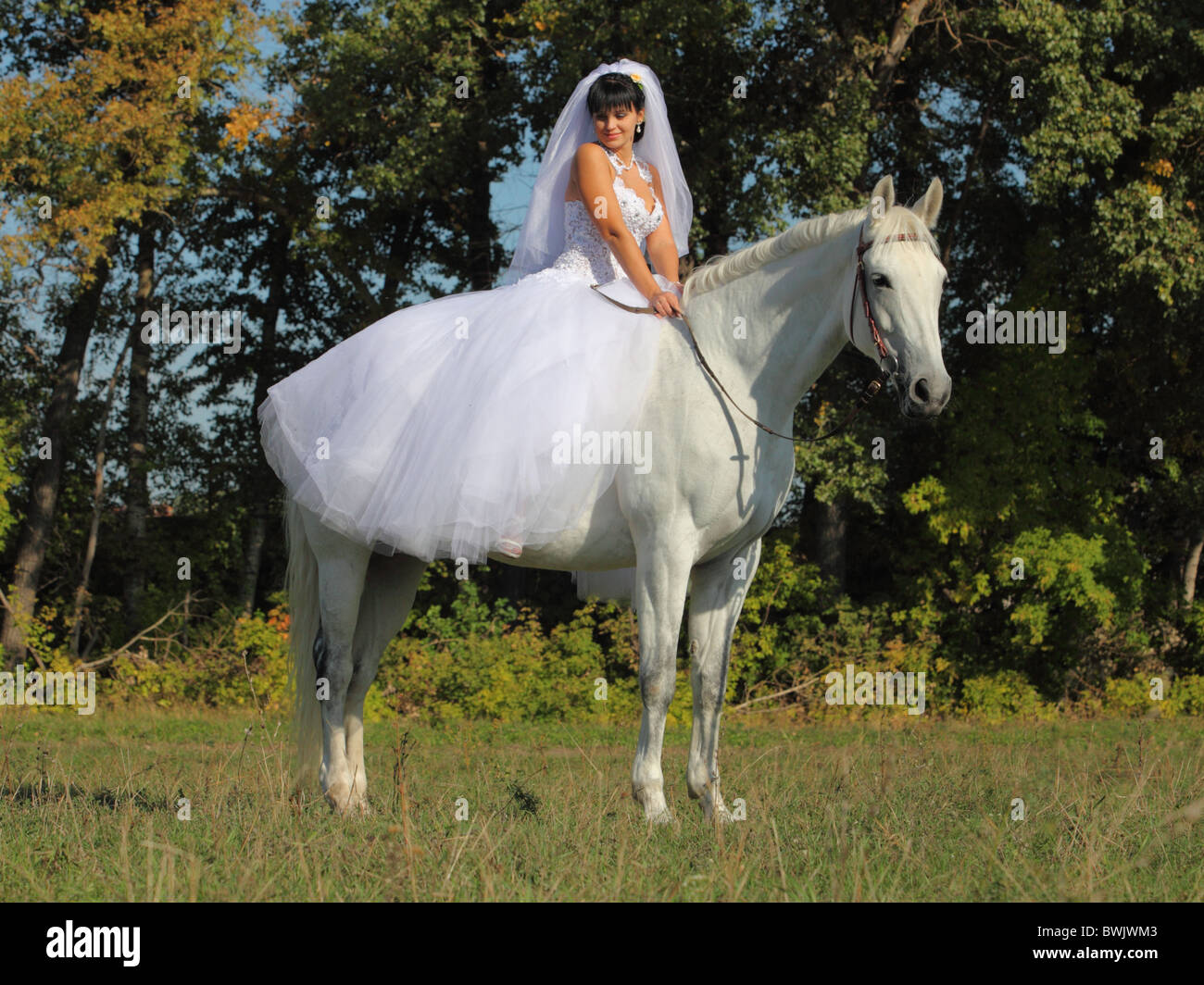 The Bride Horse High Resolution Stock Photography and Images - Alamy