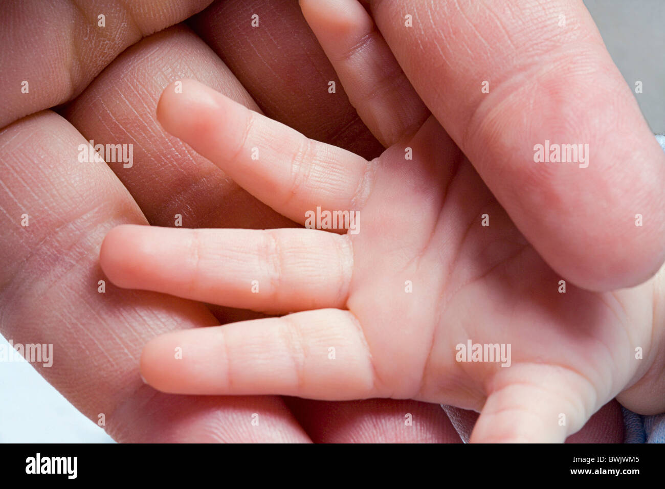 Two hands touching delicate hi-res stock photography and images - Alamy