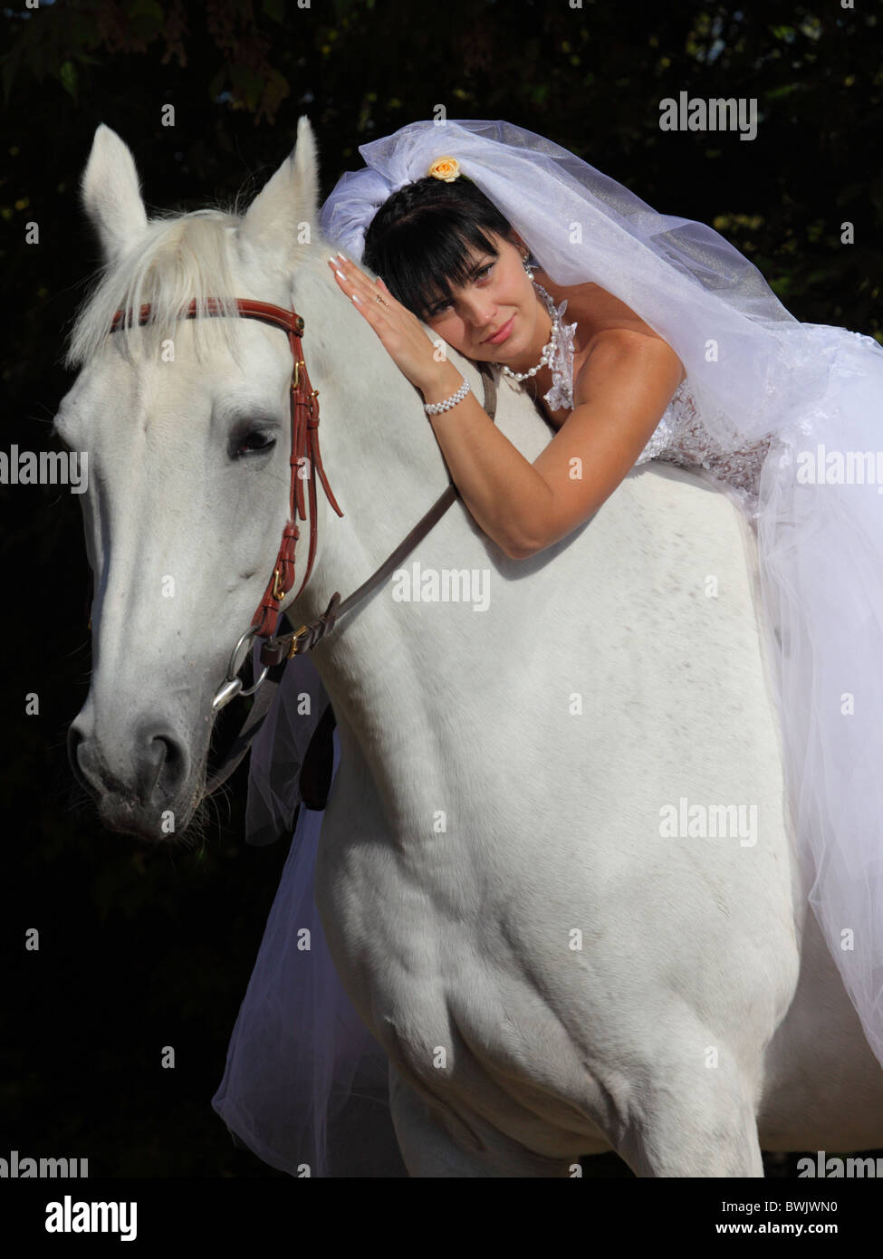 Bride white horse hi-res stock photography and images - Alamy