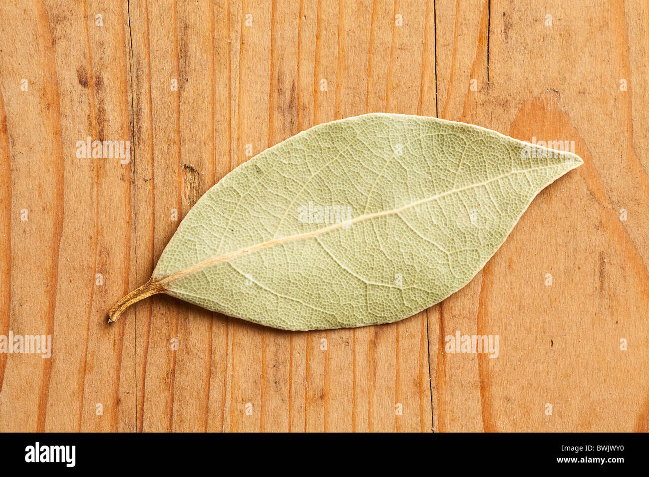 Bay leaf hi-res stock photography and images - Alamy