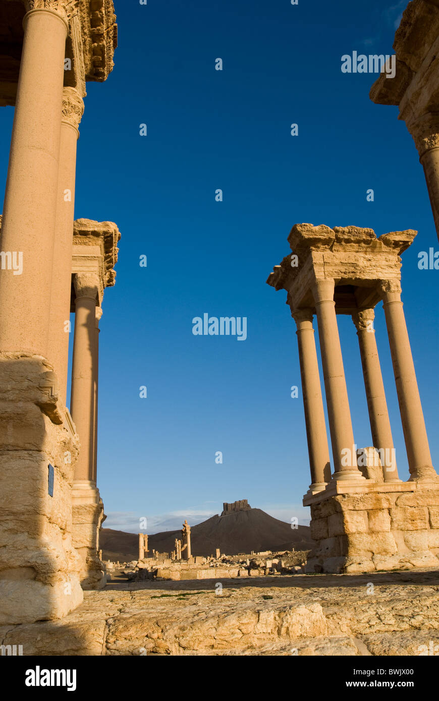 Syria desert oasis hi-res stock photography and images - Alamy