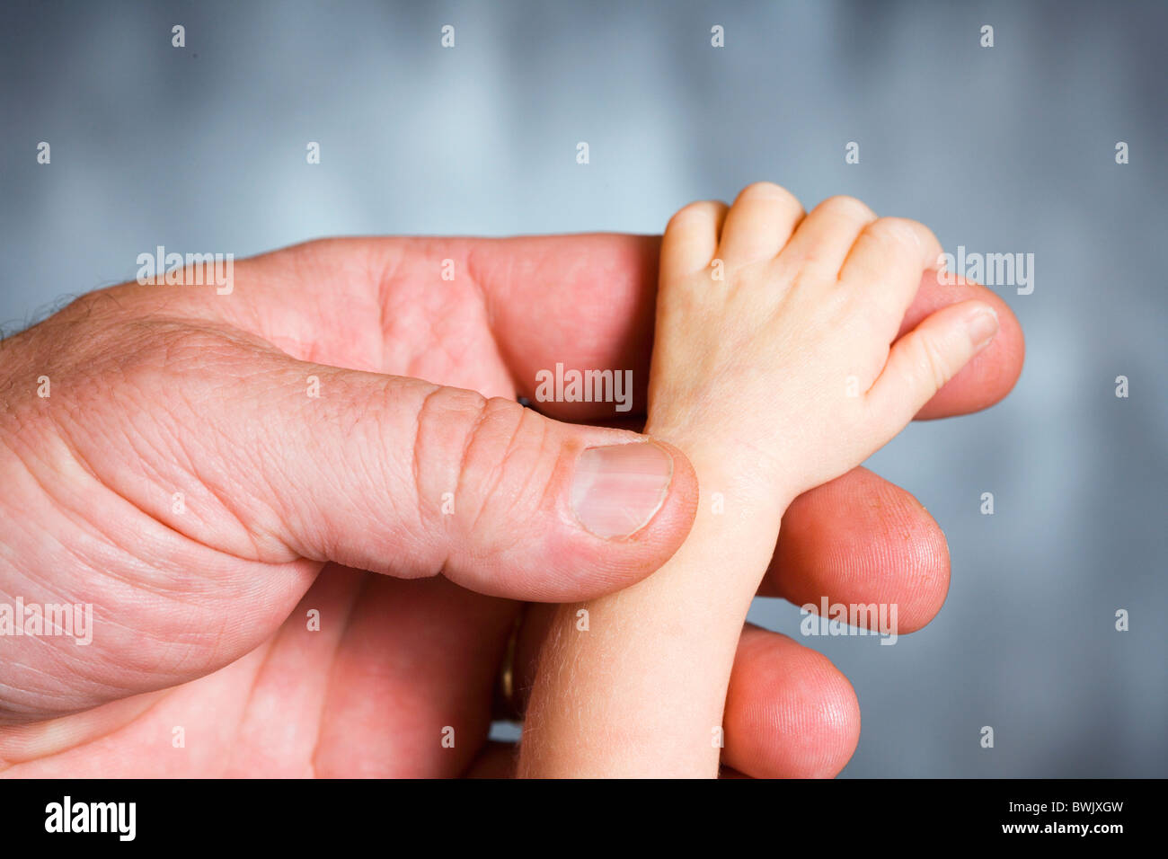 0 to 6 months 0-6 months Adult Adults Affection Babies Baby Bond ...