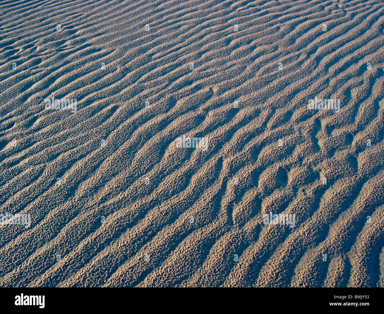 Tide Flat Water at Ina Pfarr blog