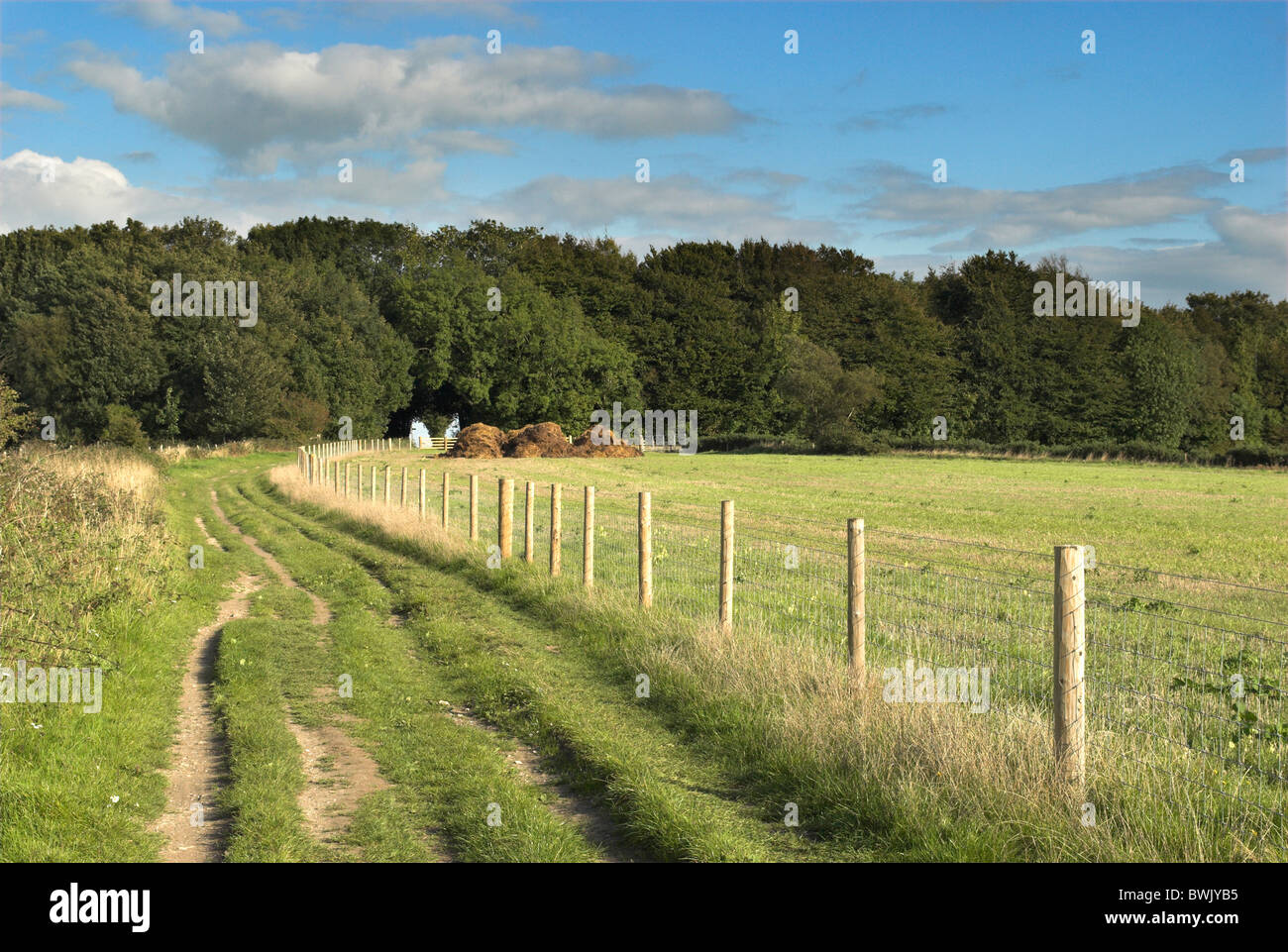 The South Downs Way at Rackham Hill between Washington and Amberley in ...